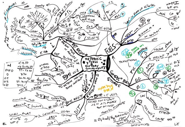 Mind maps biochemistry fuel metabolism and nutrition