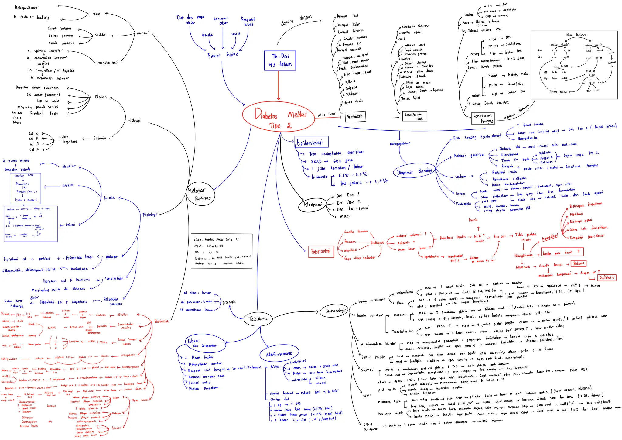 Mindmap Patofisiologi Diabetes Mellitus 2 | PDF