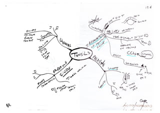 Histology Map