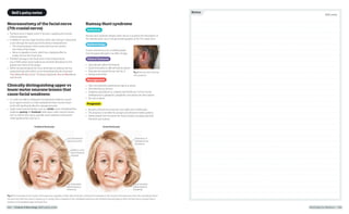 Mind maps medicine surgery Neurology.pdf