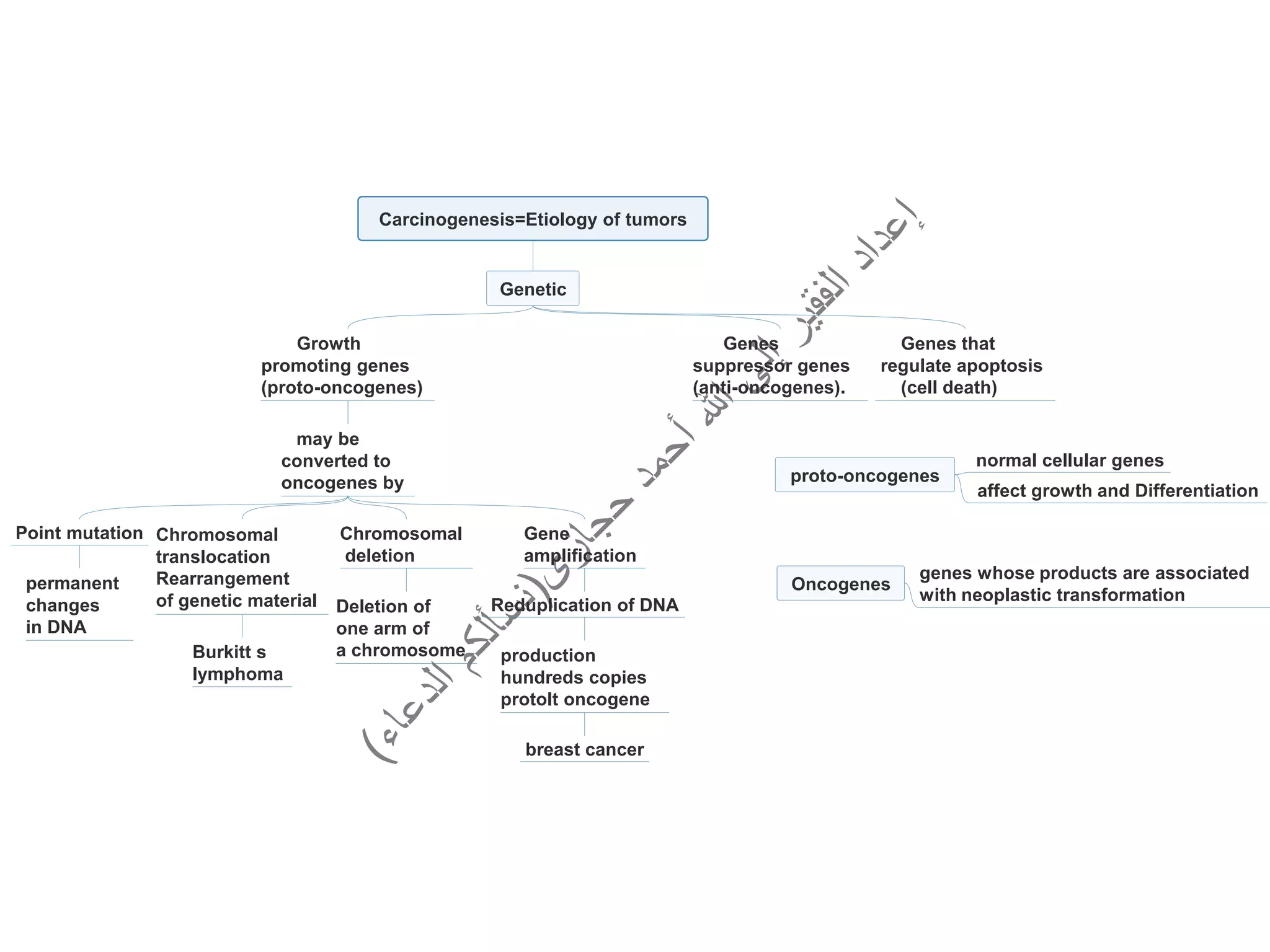 Pathophysiology Mindmap | PPT
