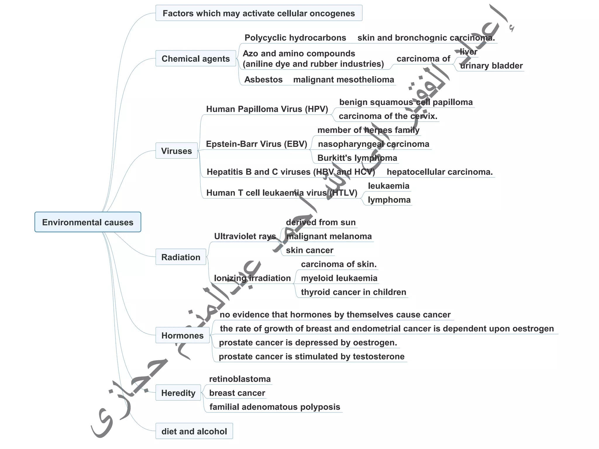 Pathophysiology Mindmap | PPT