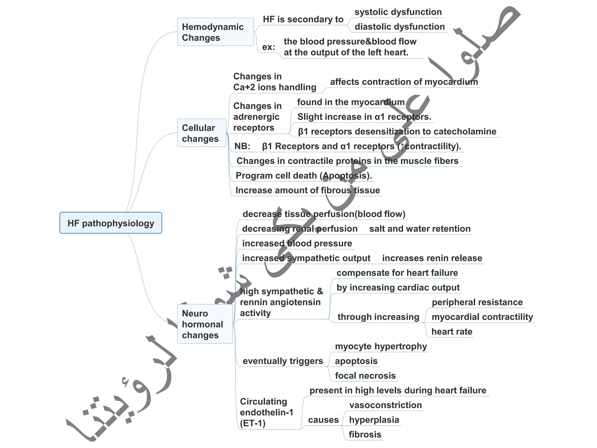 Pathophysiology Mindmap | PPT
