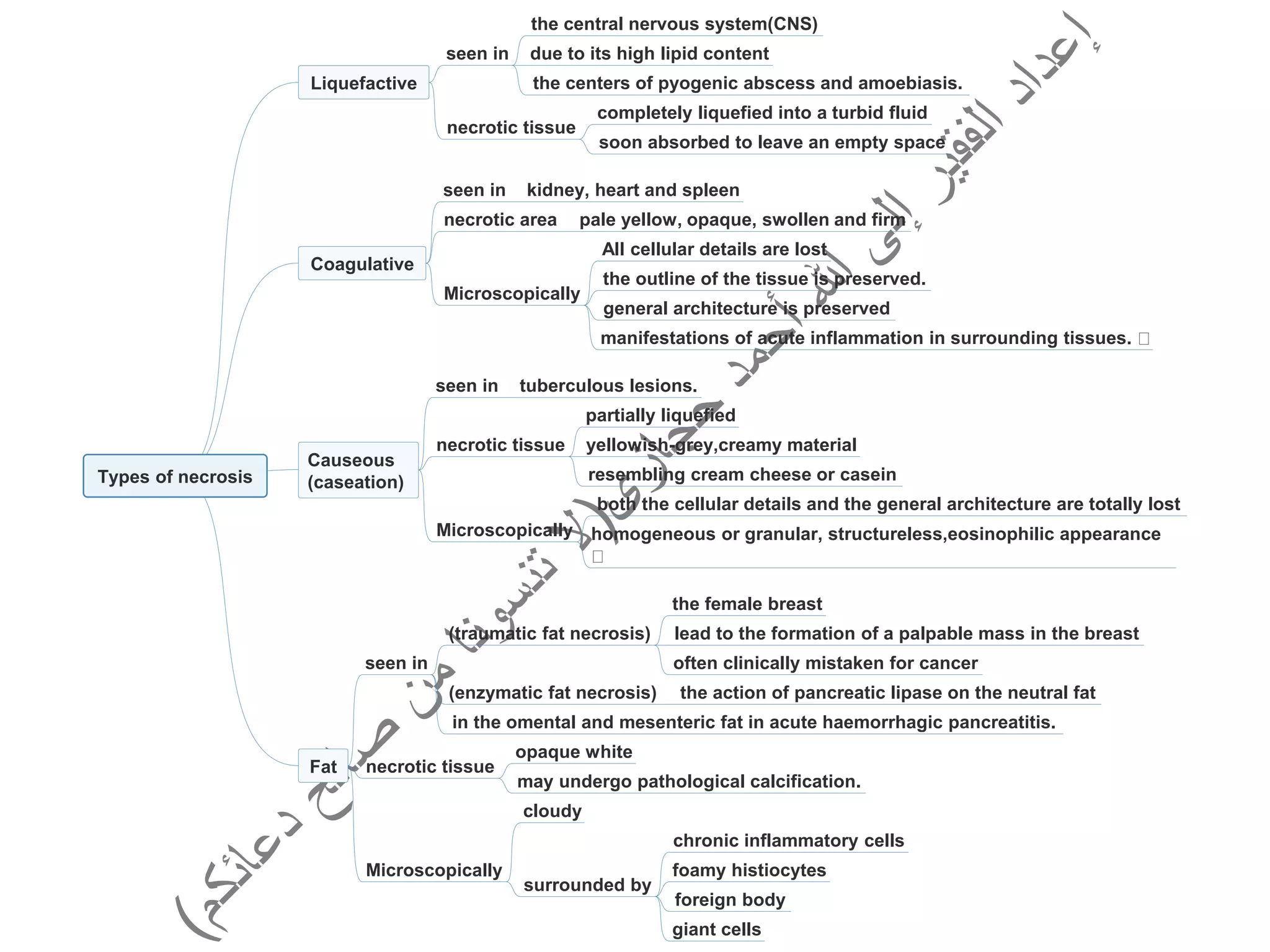 Pathophysiology Mindmap | PPT