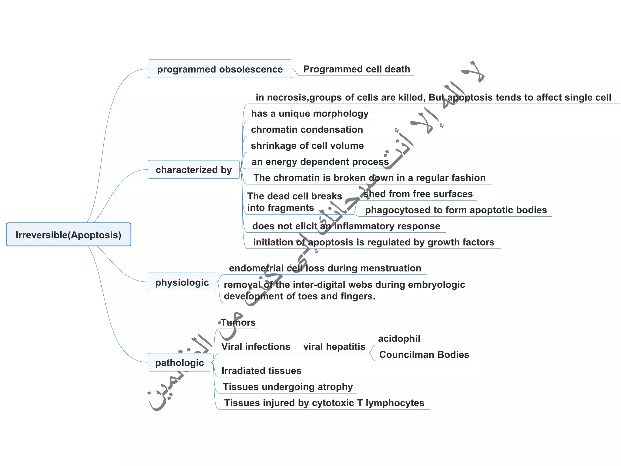 Pathophysiology Mindmap | PPT