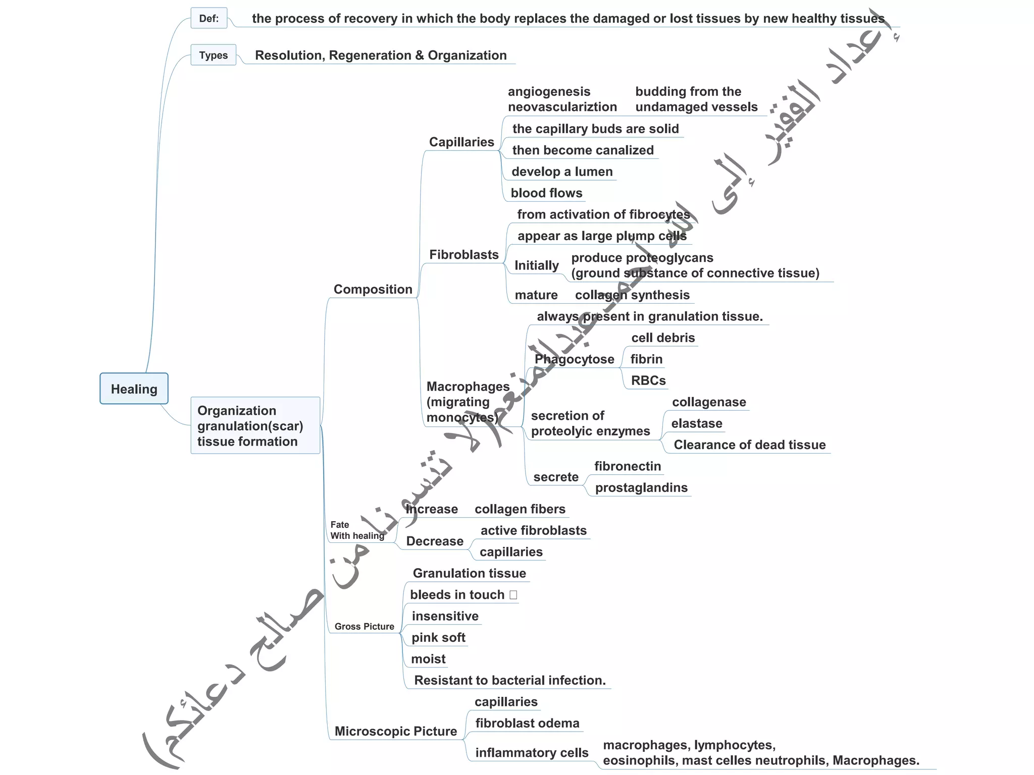 Pathophysiology Mindmap | PPT