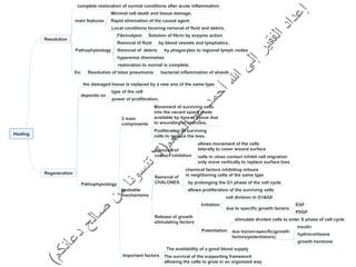 Pathophysiology Mindmap | PPT