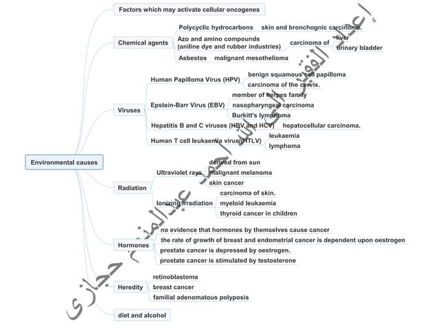 Pathophysiology Mindmap | PPT