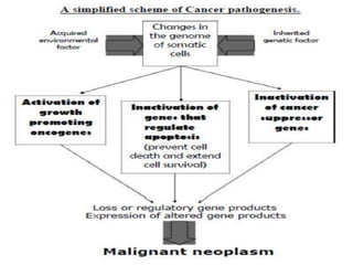 Pathophysiology Mindmap | PPT