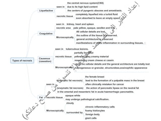 Pathophysiology Mindmap | PPT