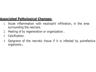 Pathophysiology Mindmap | PPT