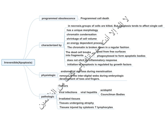 Pathophysiology Mindmap | PPT