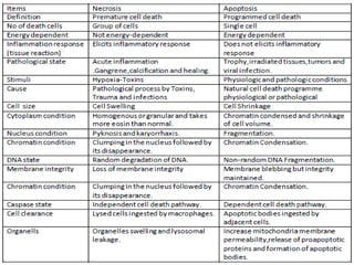 Pathophysiology Mindmap | PPT