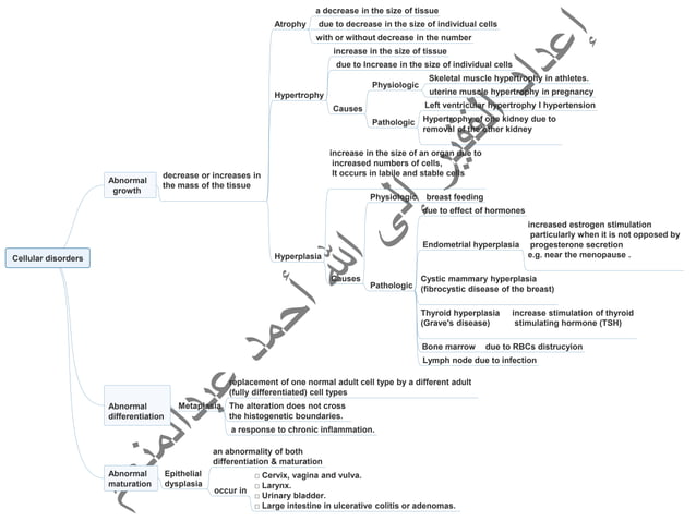 Pathophysiology Mindmap | PPT