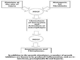 Pathophysiology Mindmap | PPT