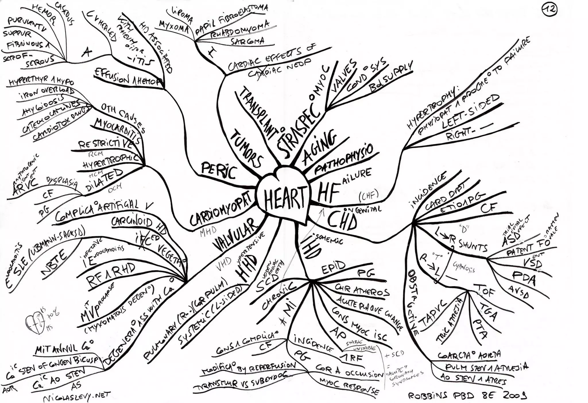 Mind maps pathology | PDF