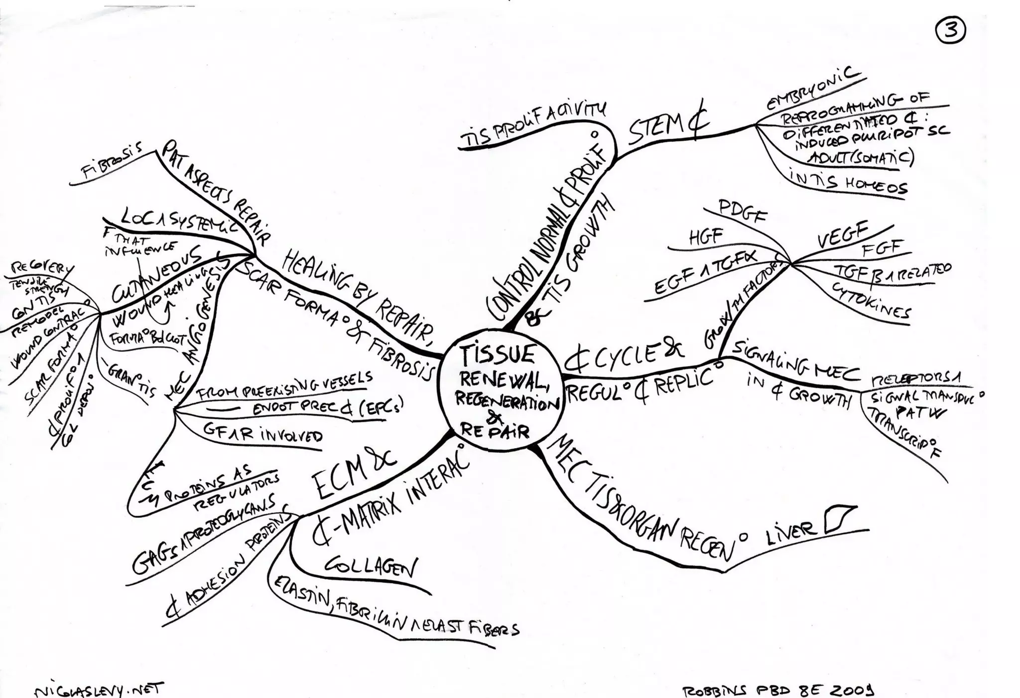 Mind maps pathology | PDF