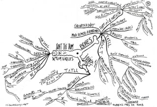 Mind maps pathology | PDF