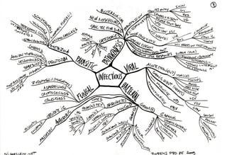 Mind maps pathology | PDF