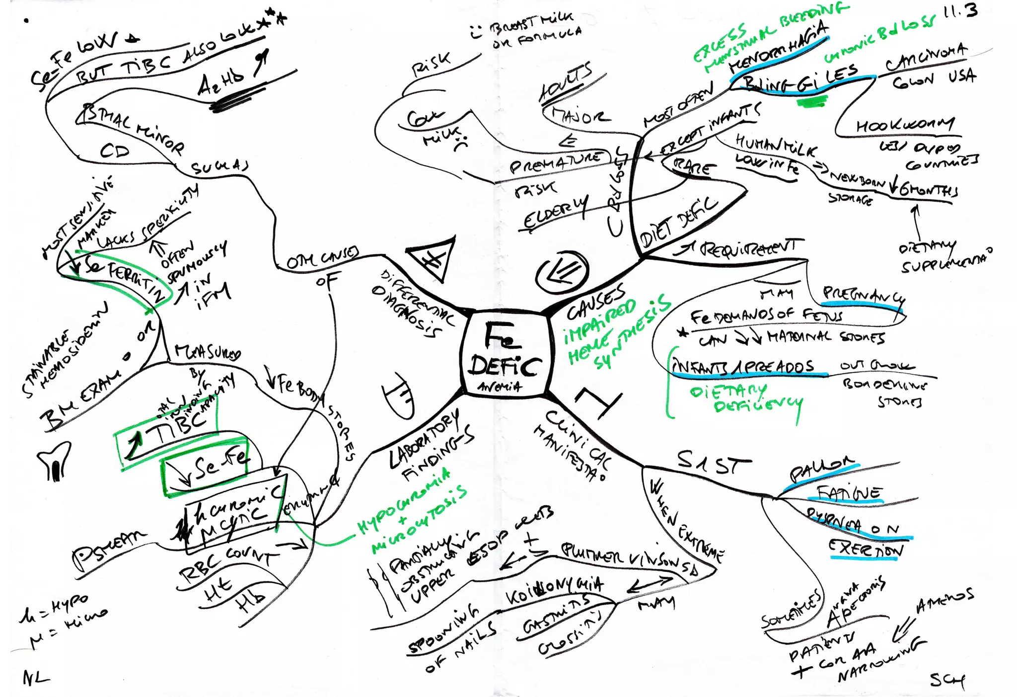 Mind maps pathology_anemia | PDF