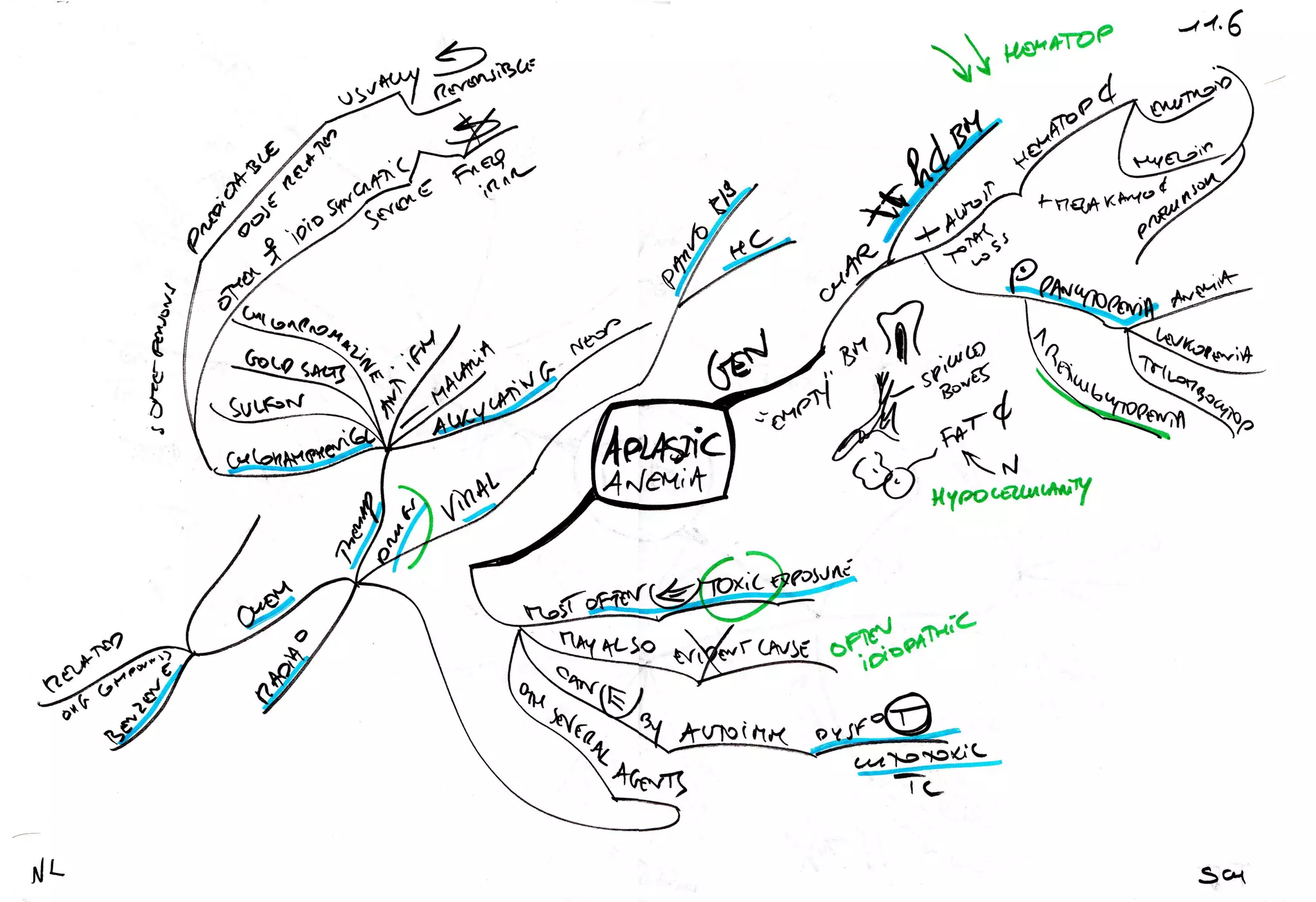Mind maps pathology_anemia | PDF