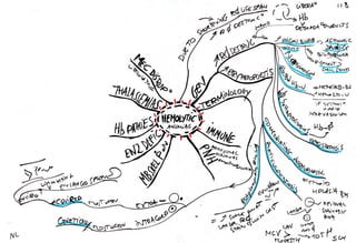 Mind maps pathology_anemia | PDF