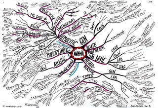 Mind maps pathology_anemia | PPT