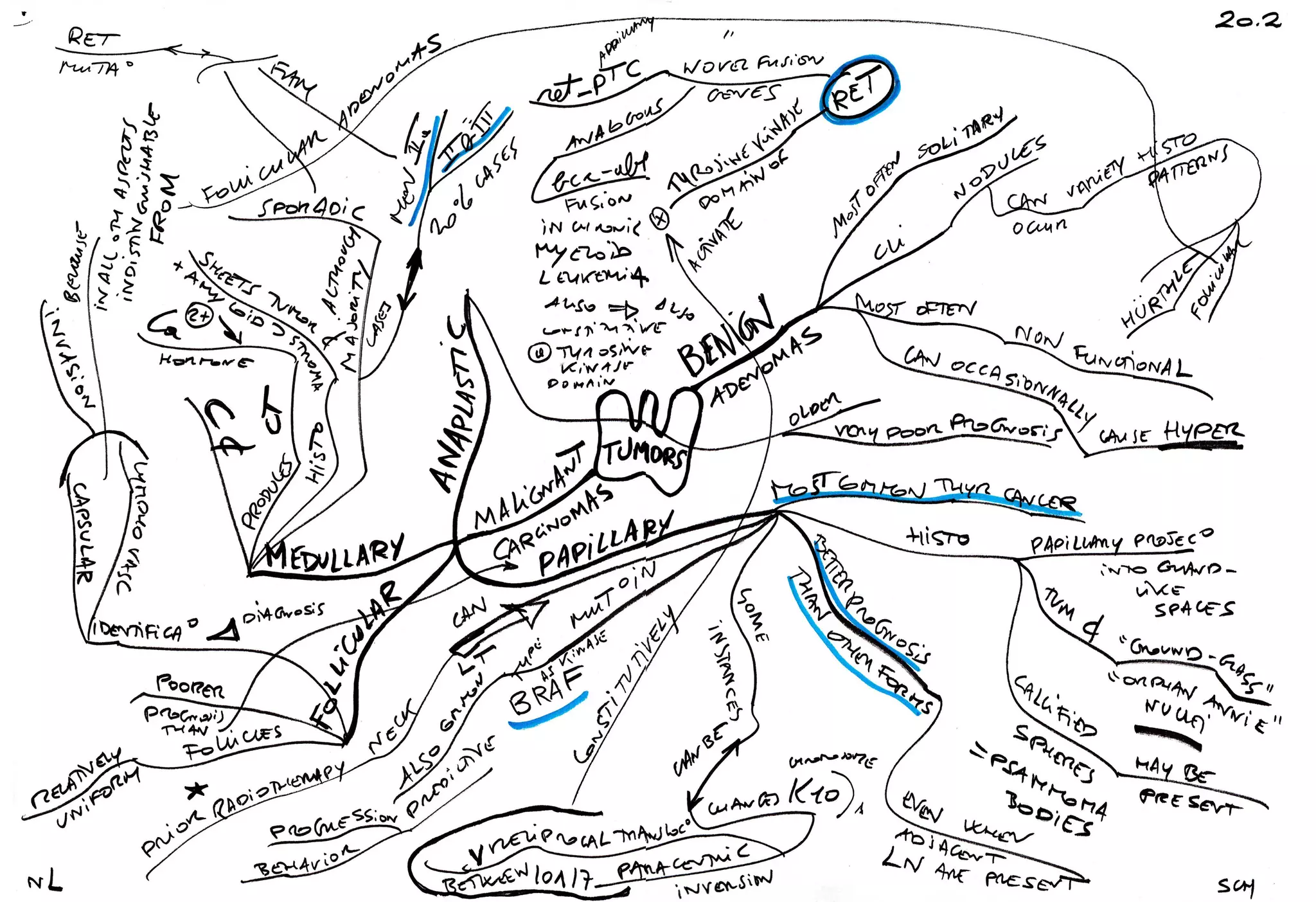 Mind maps pathology endocrine system | PPT | Free Download