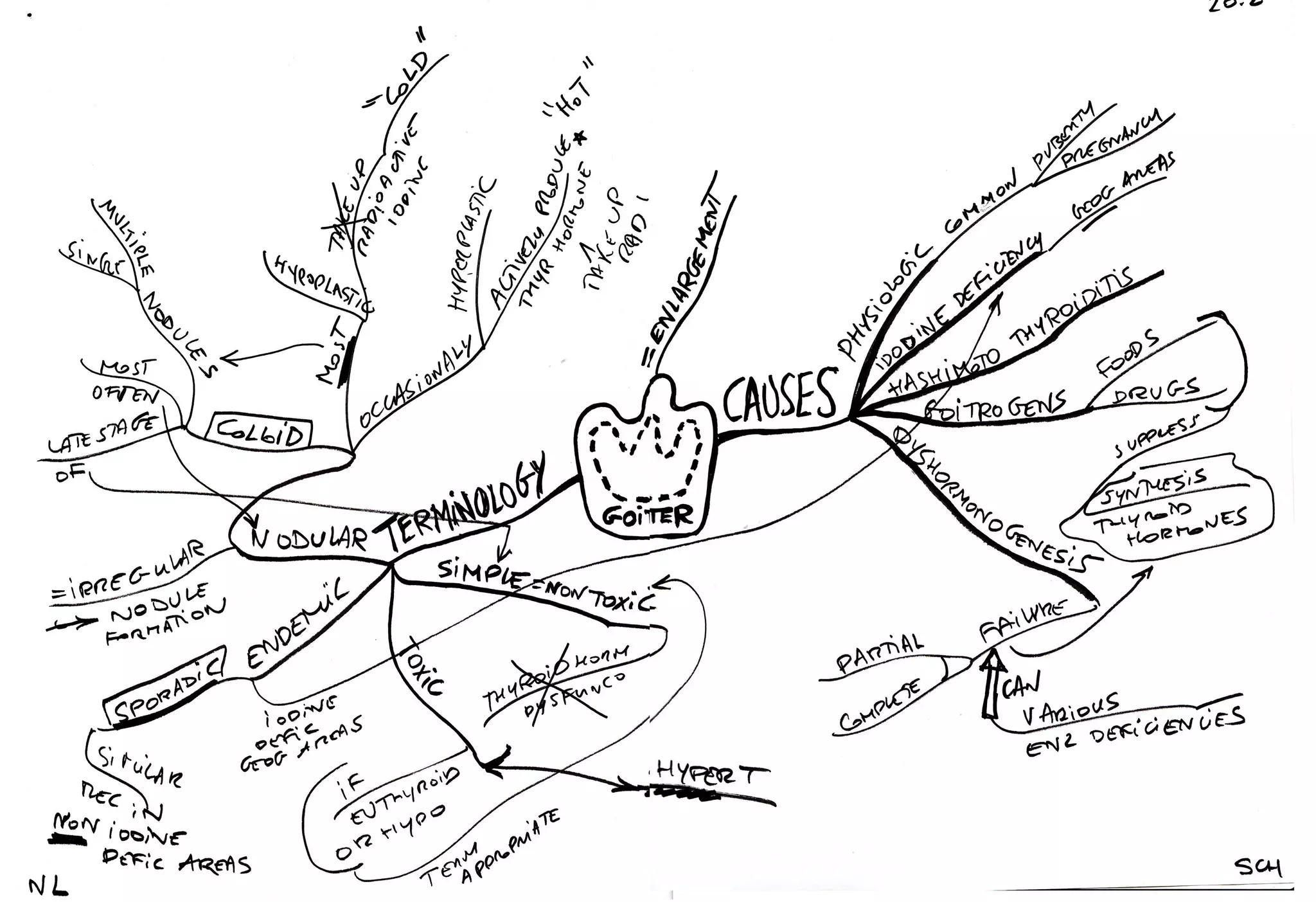 Mind maps pathology endocrine system | PDF