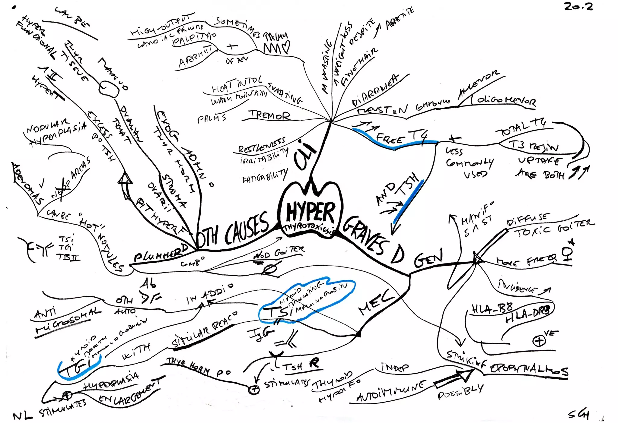 Mind maps pathology endocrine system | PDF