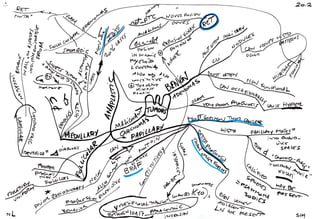 Mind maps pathology endocrine system | PDF