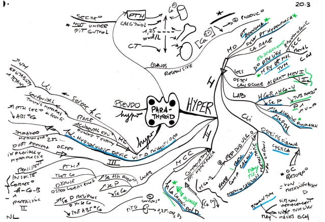 Mind maps pathology endocrine system | PDF