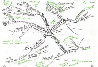 Mind maps pathology endocrine system | PDF