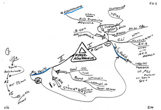 Mind maps pathology endocrine system | PDF