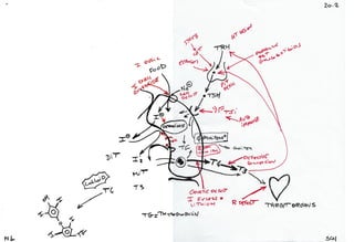 Mind maps pathology endocrine system | PDF
