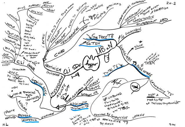 Mind maps pathology endocrine system | PDF