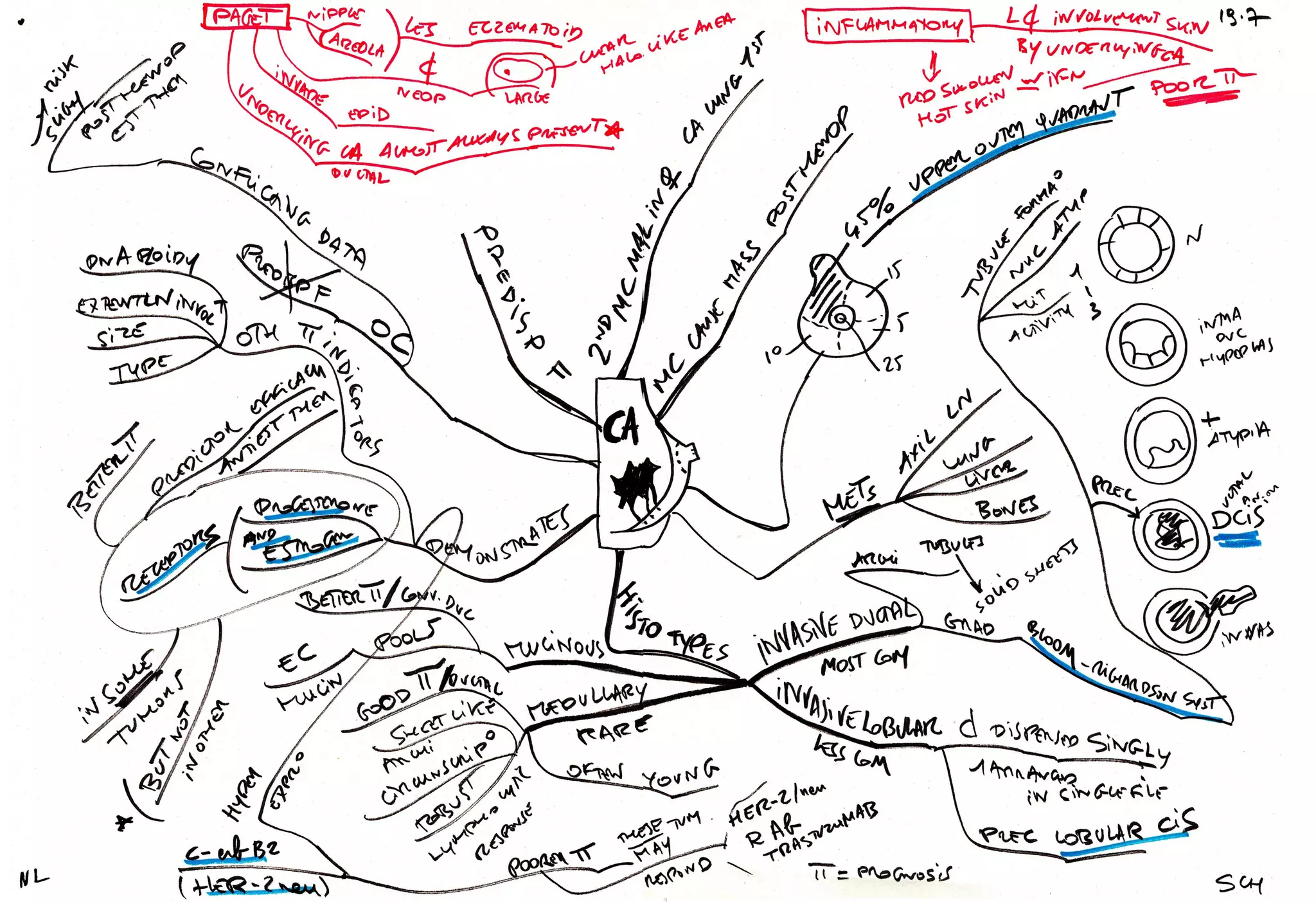 Mind maps pathology female reproductive system and breast | PPT