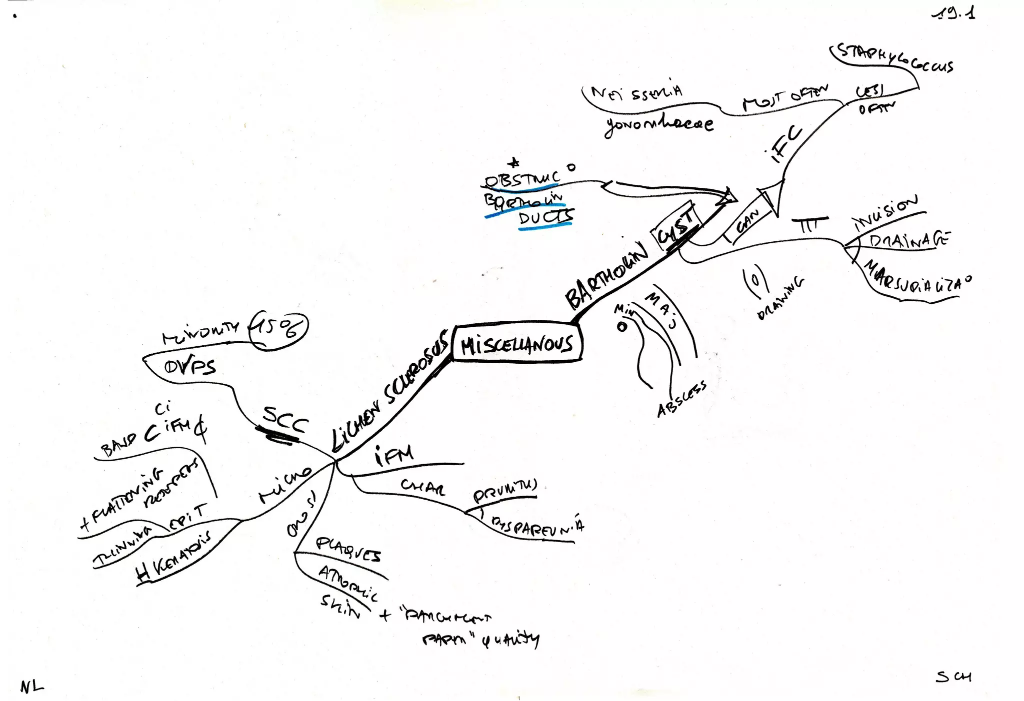 Mind maps pathology female reproductive system and breast | PPT