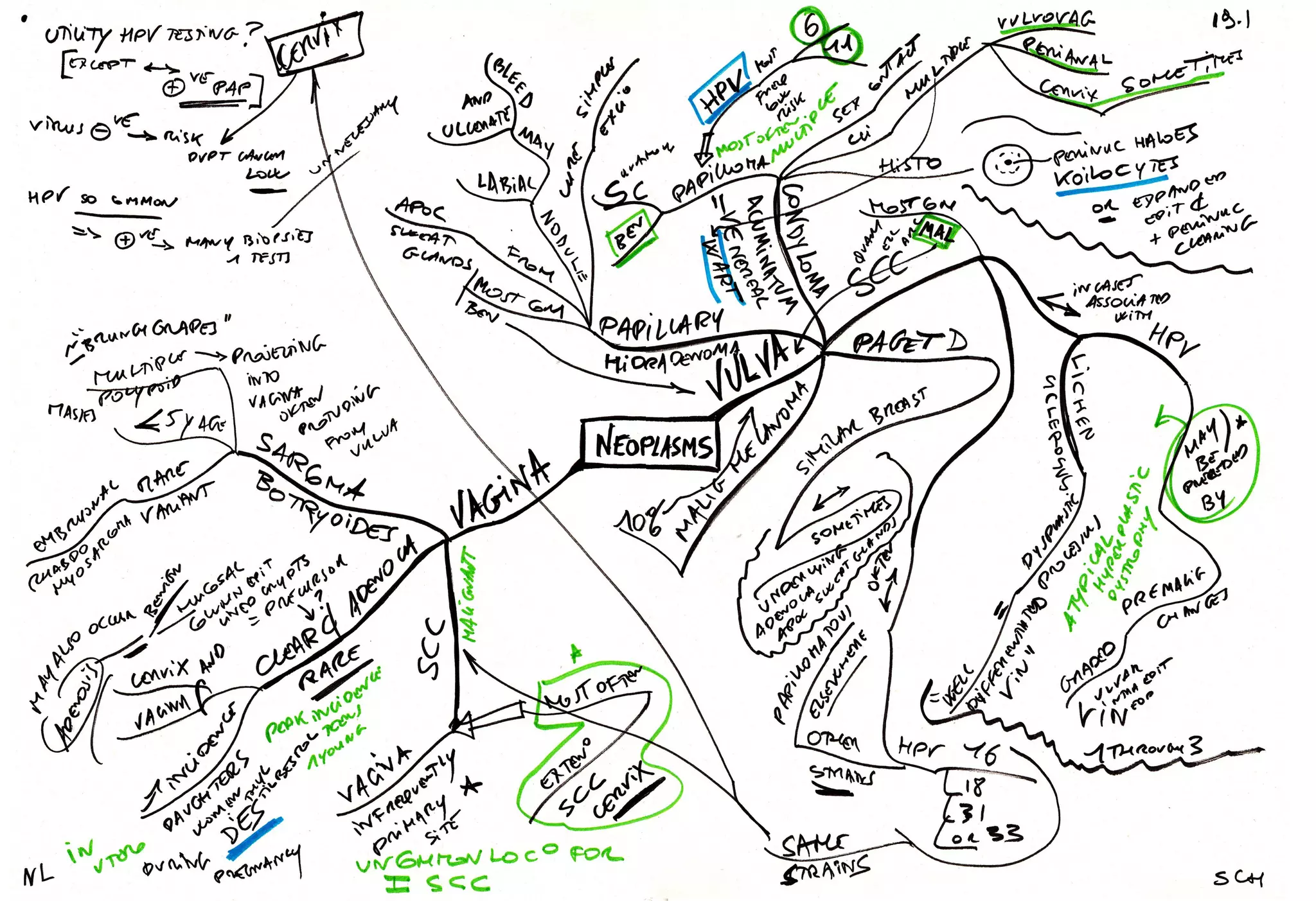 Mind maps pathology female reproductive system and breast | PPT