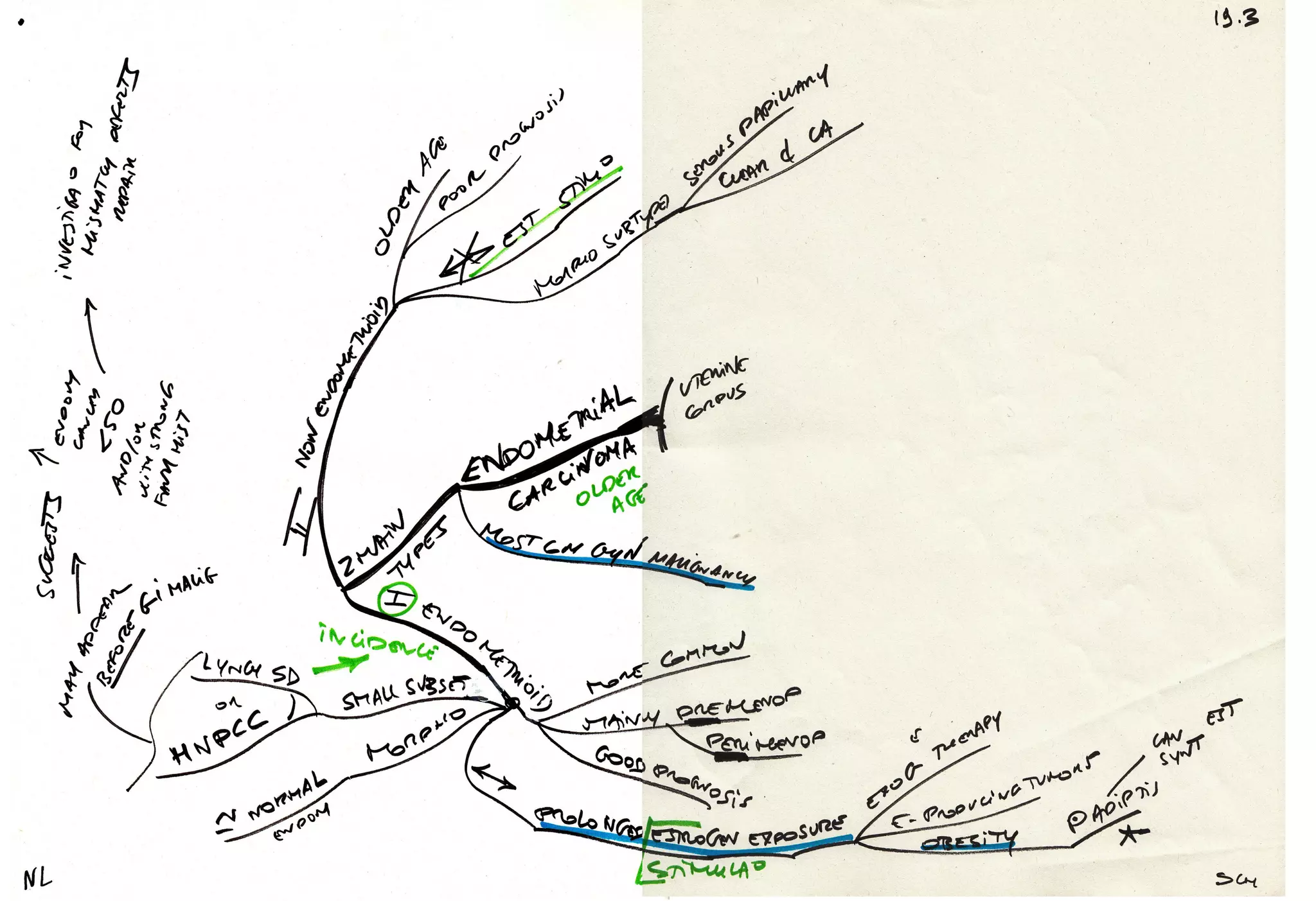 Mind maps pathology female reproductive system and breast | PPT