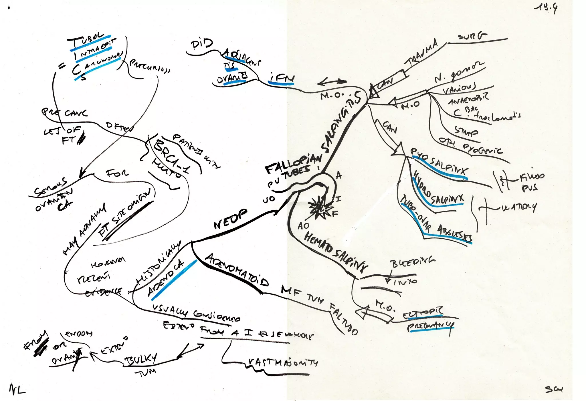 Mind maps pathology female reproductive system and breast | PPT