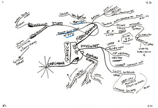 Mind maps pathology female reproductive system and breast | PPT