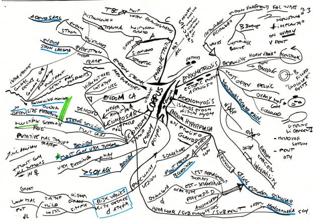 Mind maps pathology female reproductive system and breast | PPT