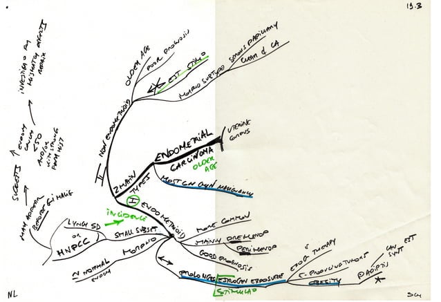 Mind maps pathology female reproductive system and breast | PPT