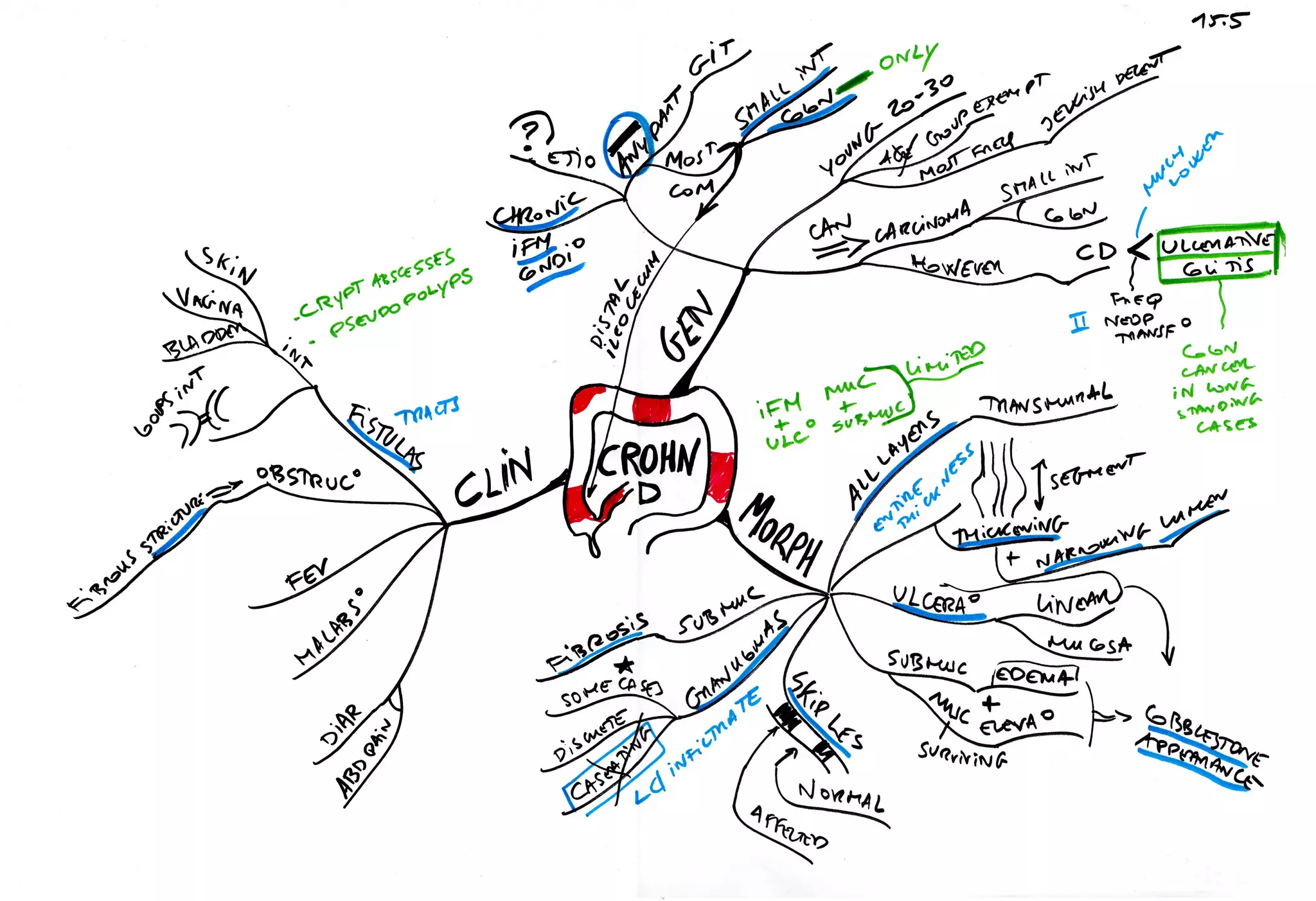 Mind maps pathology gastrointestinal | PDF