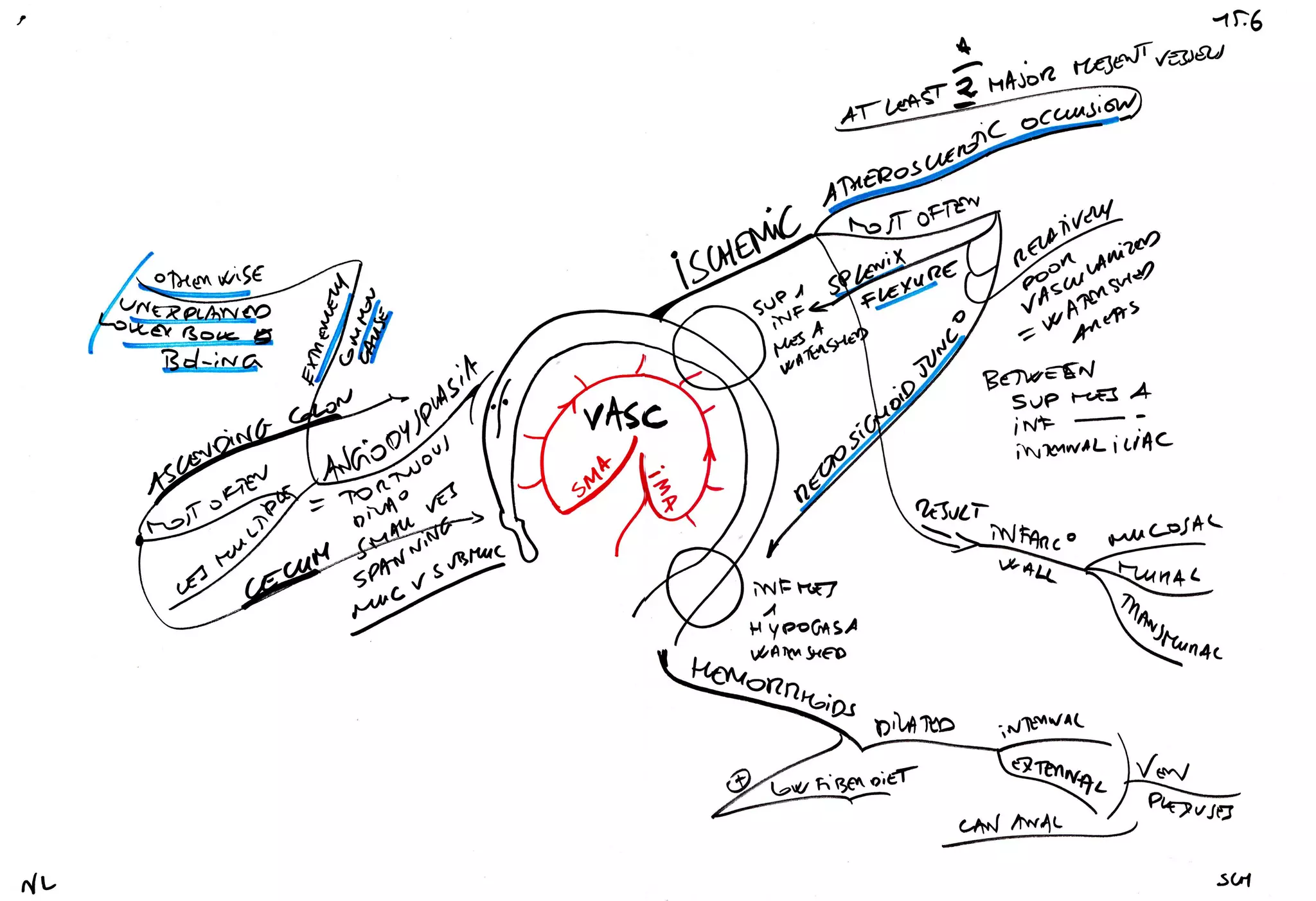 Mind maps pathology gastrointestinal | PDF
