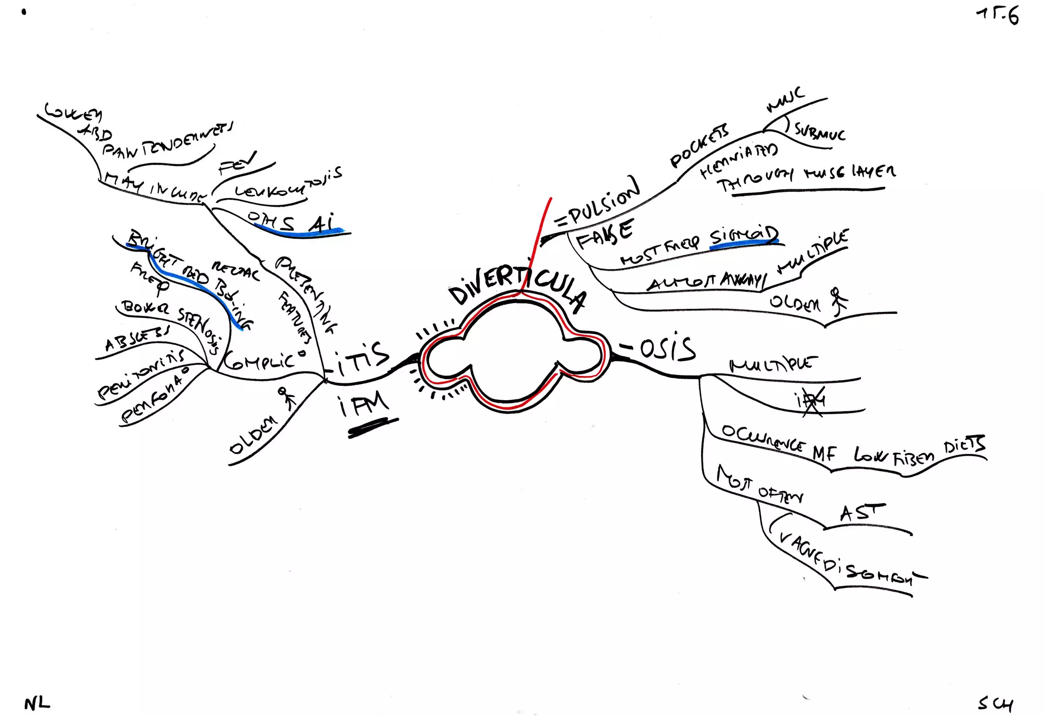 Mind maps pathology gastrointestinal | PDF