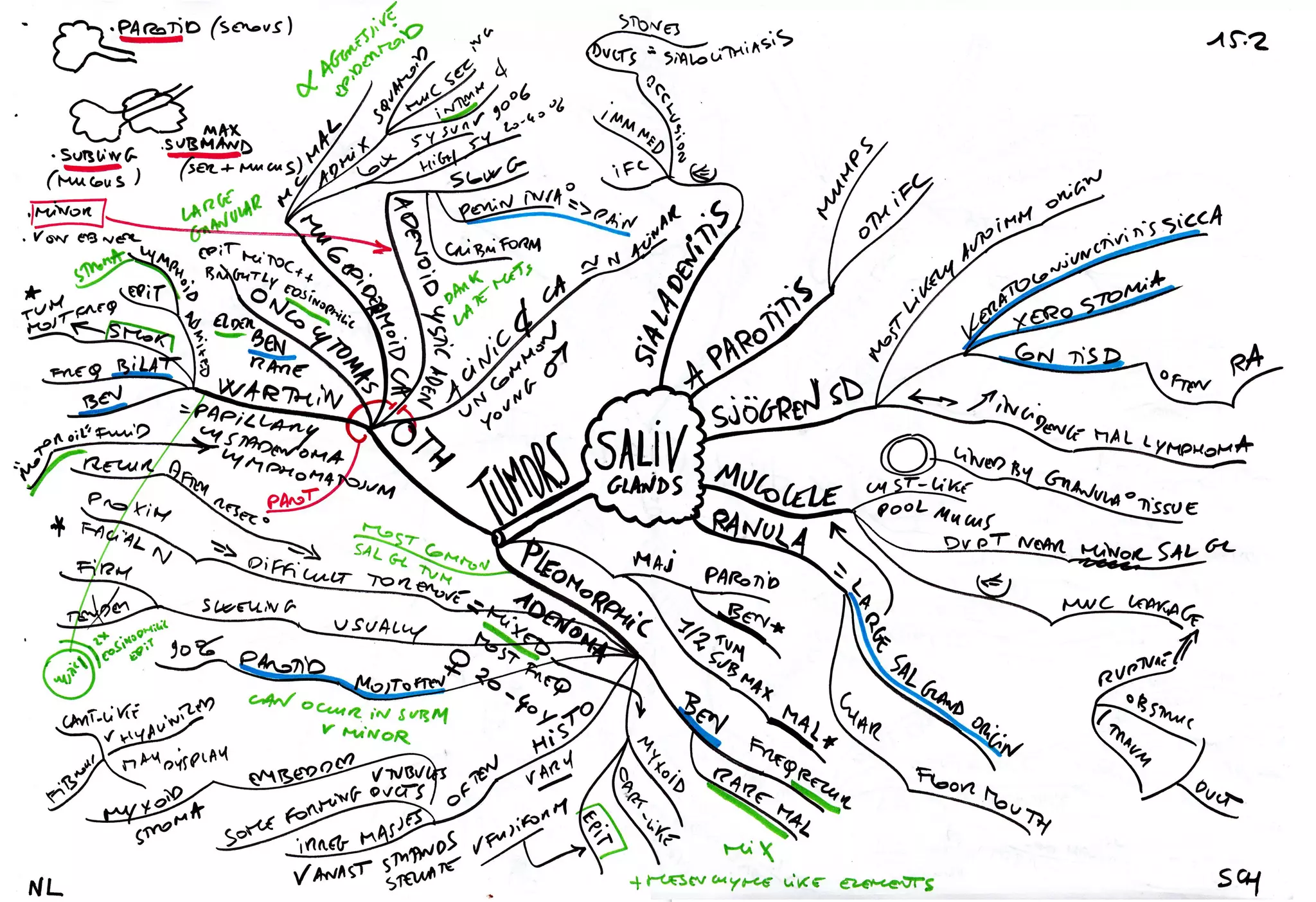 Mind maps pathology gastrointestinal | PDF