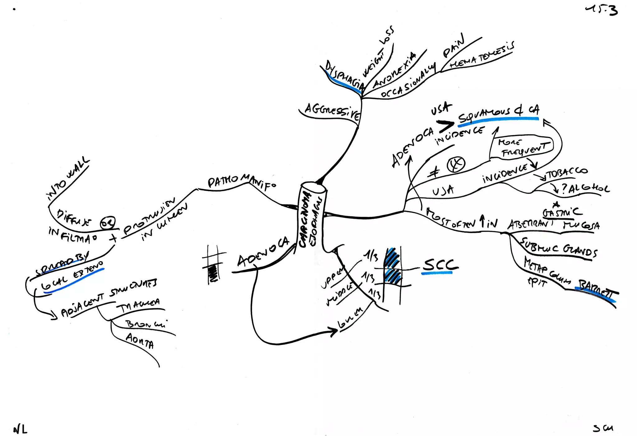 Mind maps pathology gastrointestinal | PDF