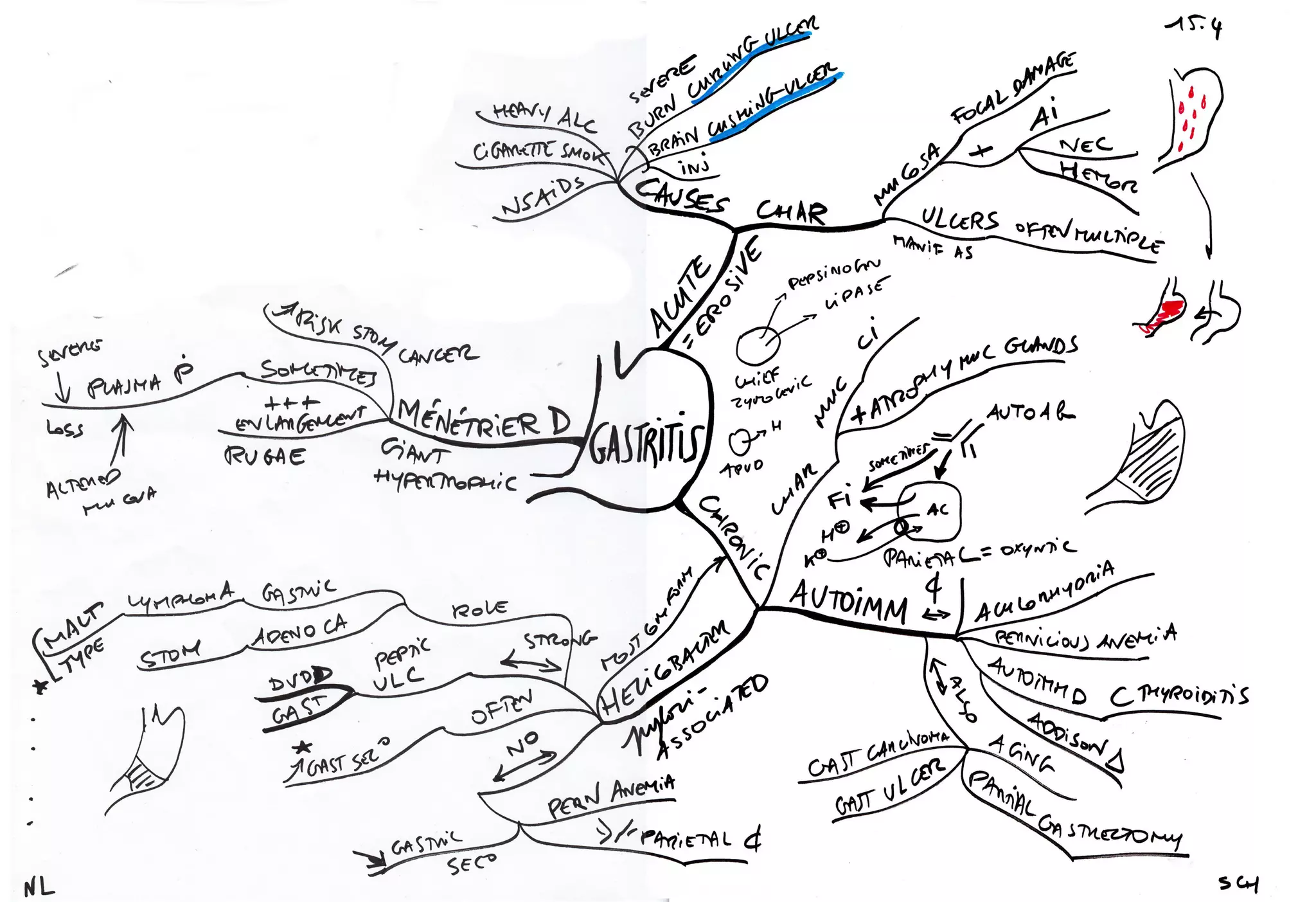 Mind maps pathology gastrointestinal | PDF